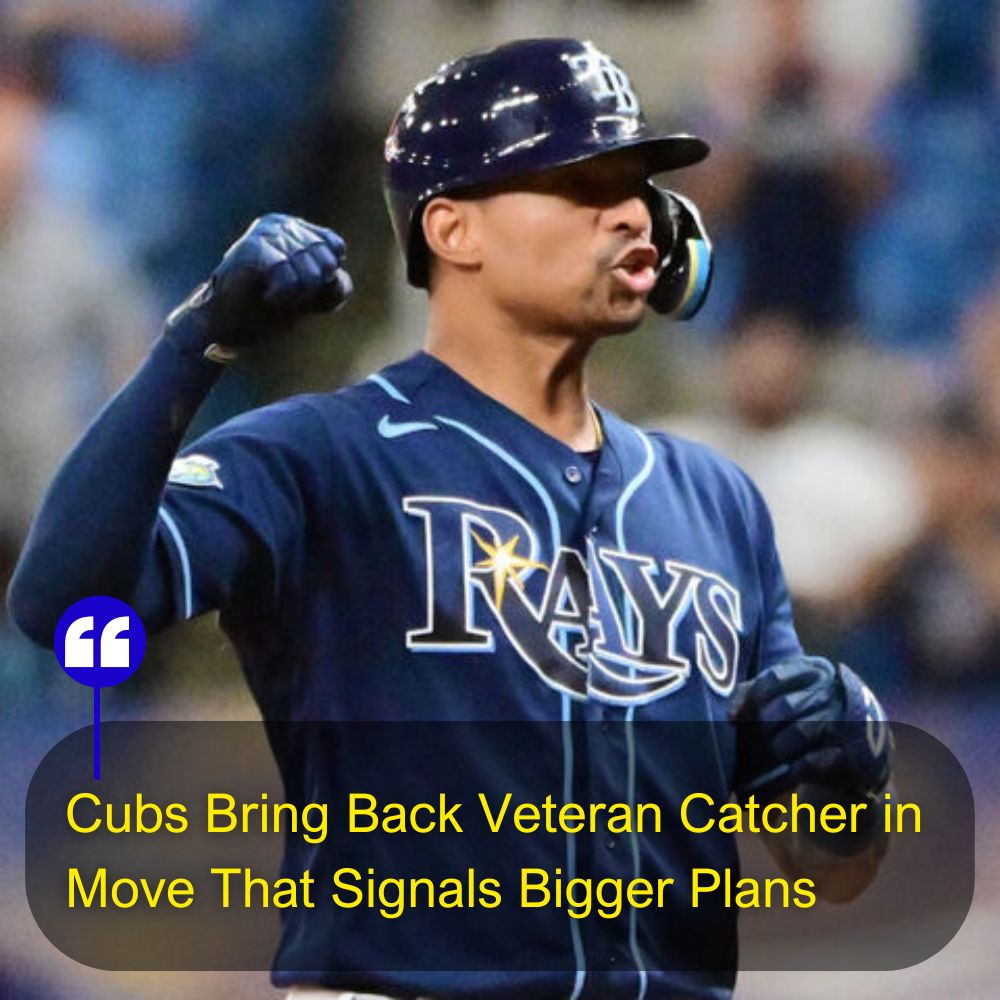 Cubs Bring Back Veteran Catcher in Move That Signals Bigger Plans ...